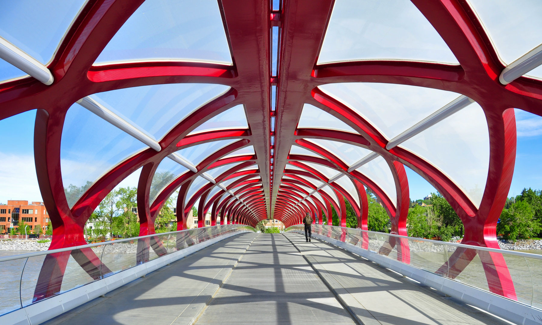 The 15 Best Things to Do in Calgary – Wandering Wheatleys