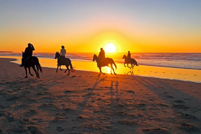 The 15 Best Things to do in Block Island, Rhode Island – Wandering ...